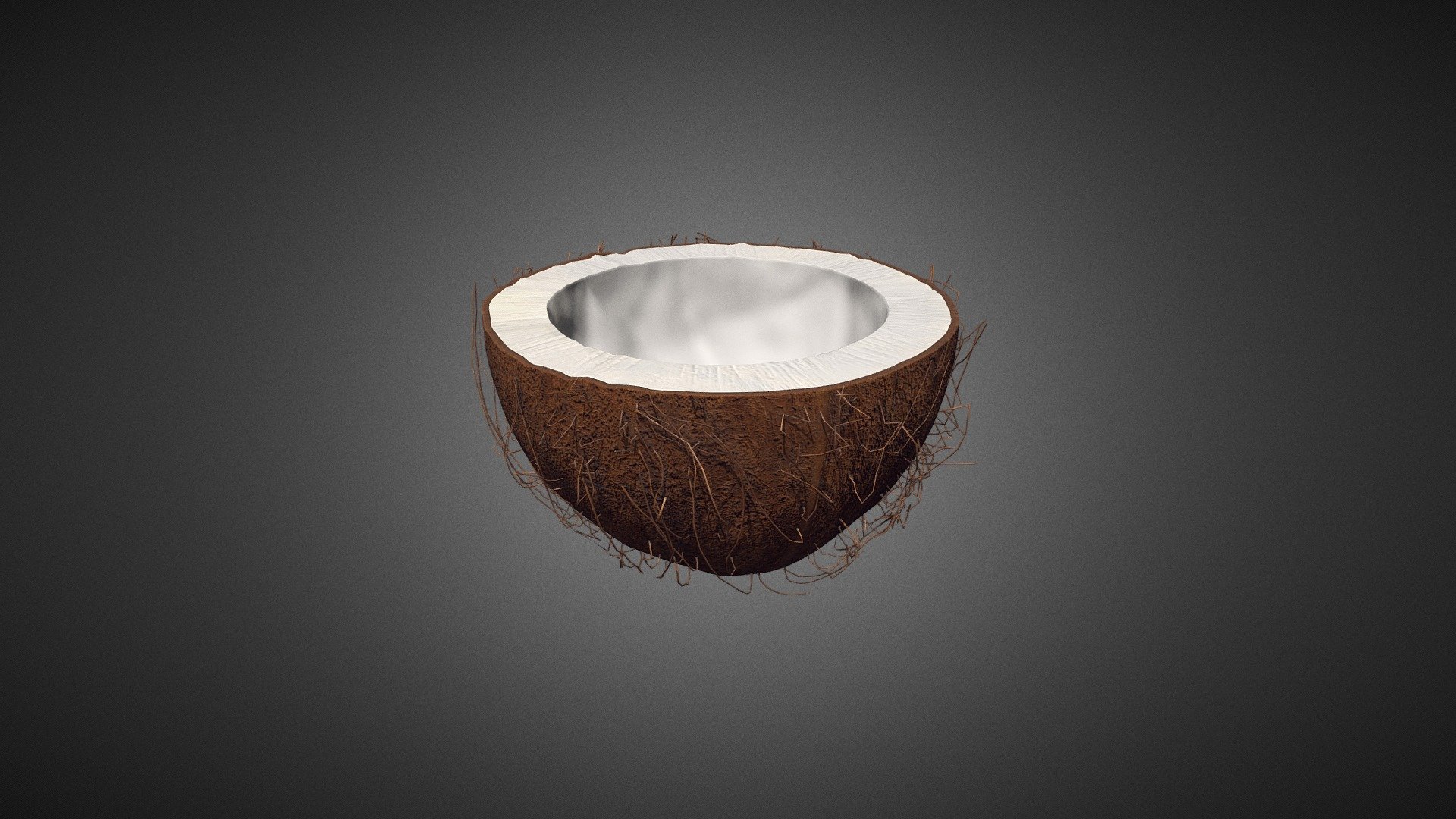 Coconut (Half) - 3D model by CG Duck (@cg_duck) [26f9c5f] - Sketchfab