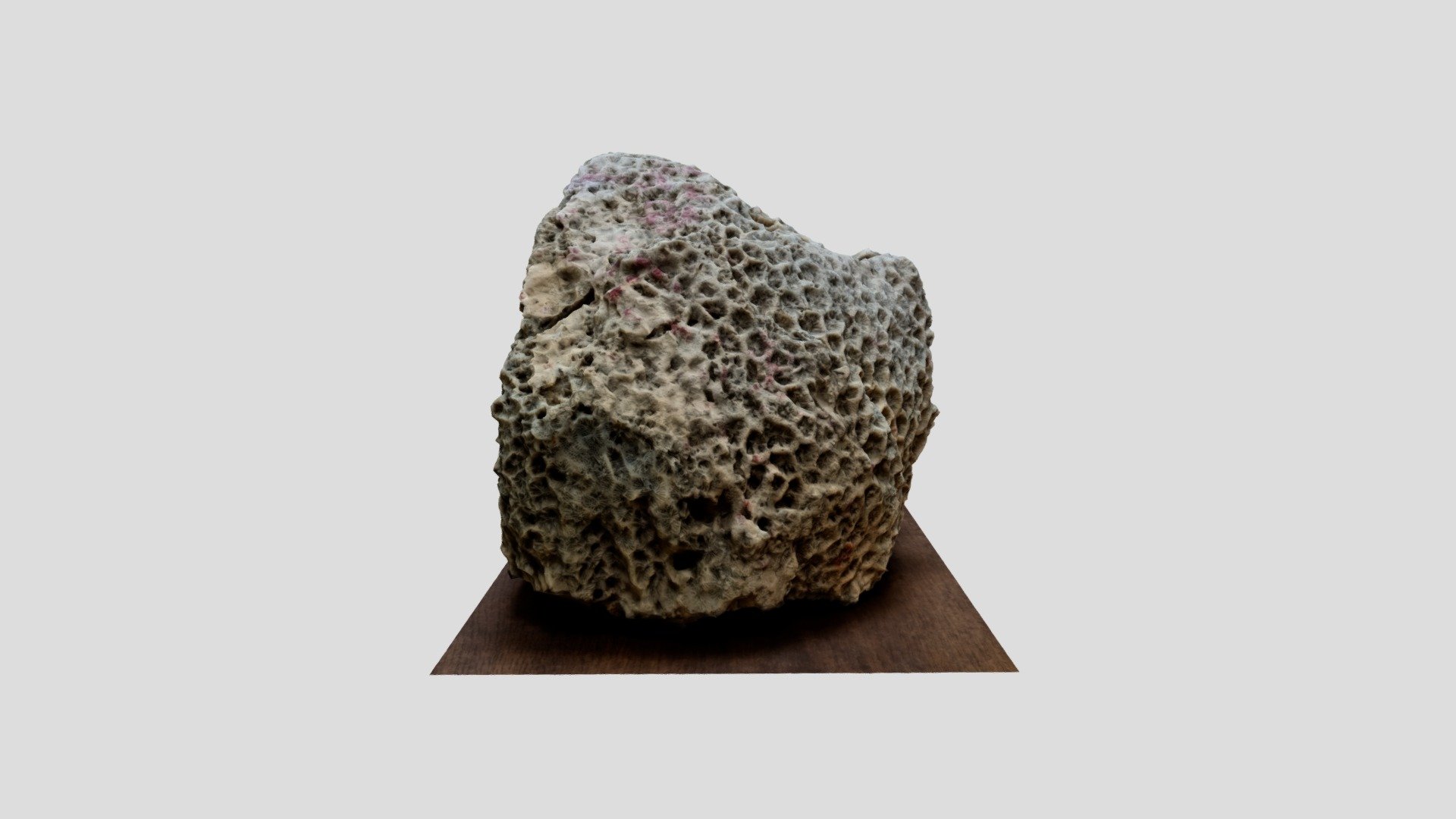 Coral Stone Sample #01 - Download Free 3D model by Alhidba (@AlhidbaCo ...