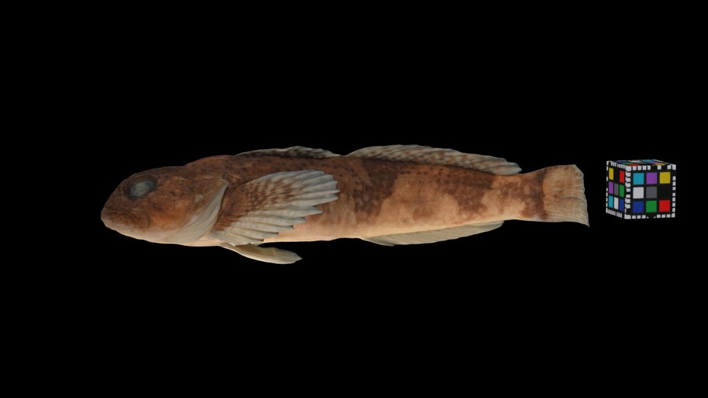 Exploring specimen repository of HITOHAKU Museum - A 3D model ...