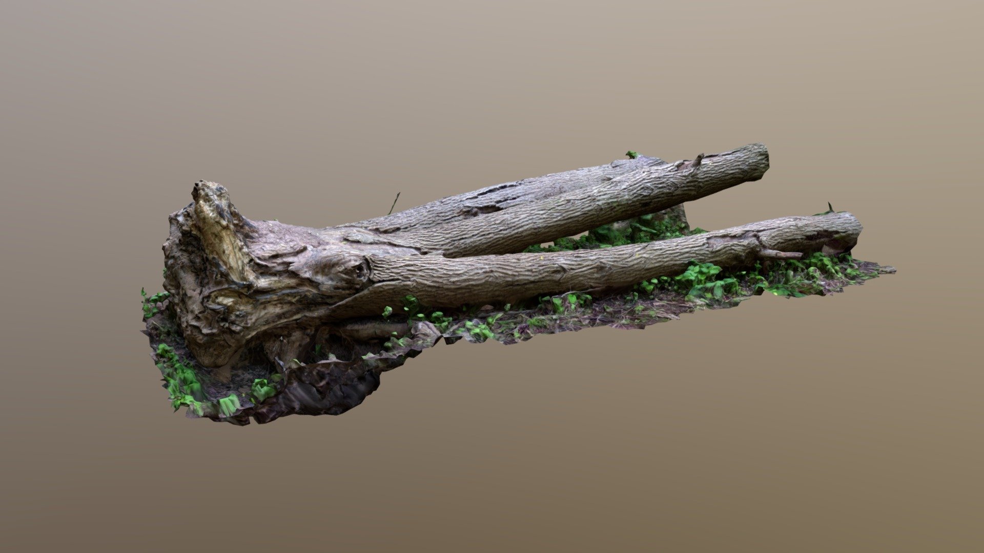 Tree Trunk - Download Free 3D model by Emd. (@Swifty00) [2712490 ...
