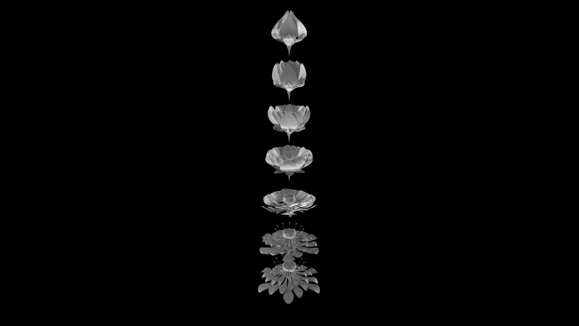 Digital_Flower_a_by xyzuvwopq - Download Free 3D model by xyzuvwopq ...