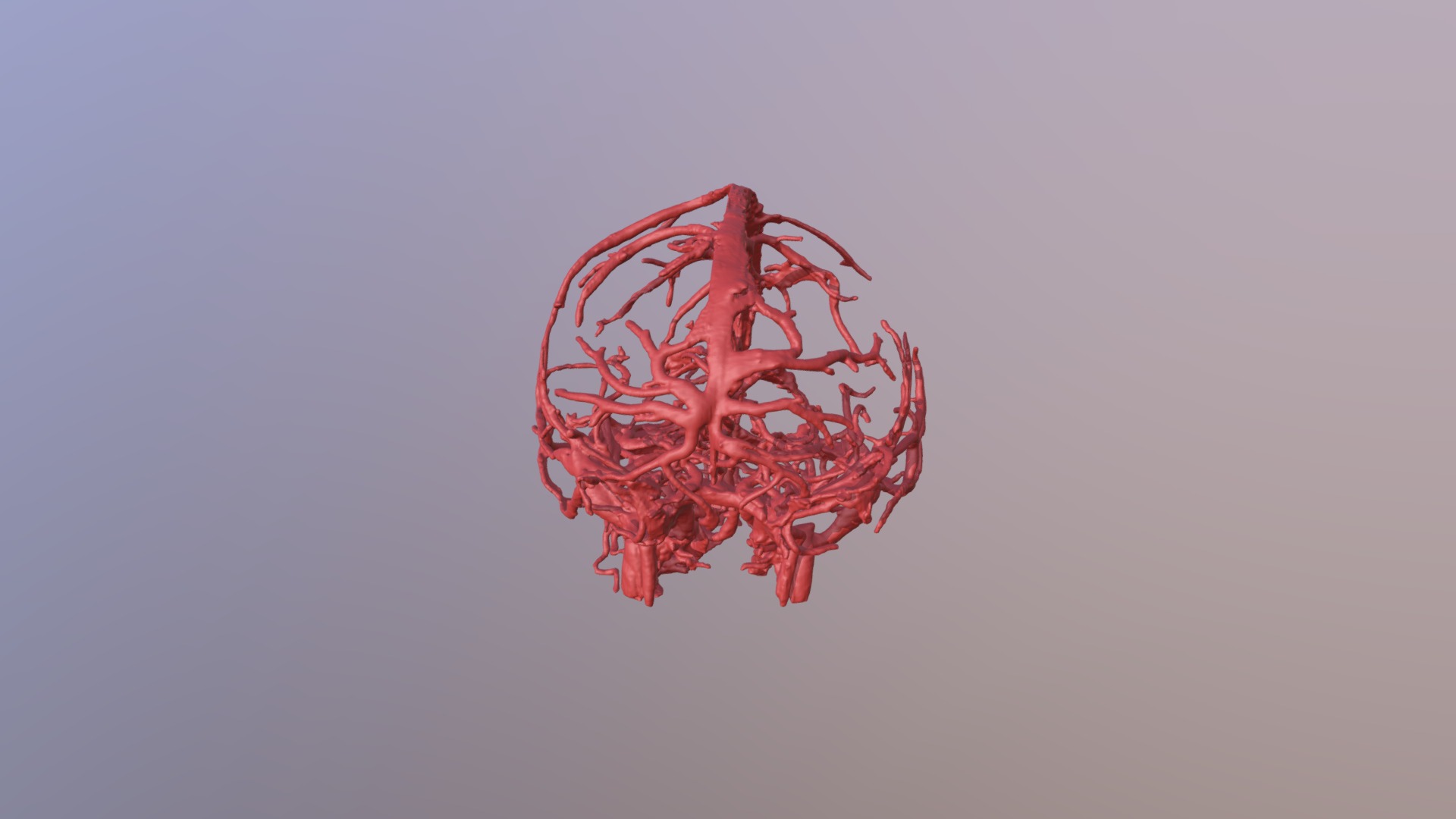 BrainVessel - 3D model by Wutong 3D Tech (@wutong3d) [272d9ff] - Sketchfab