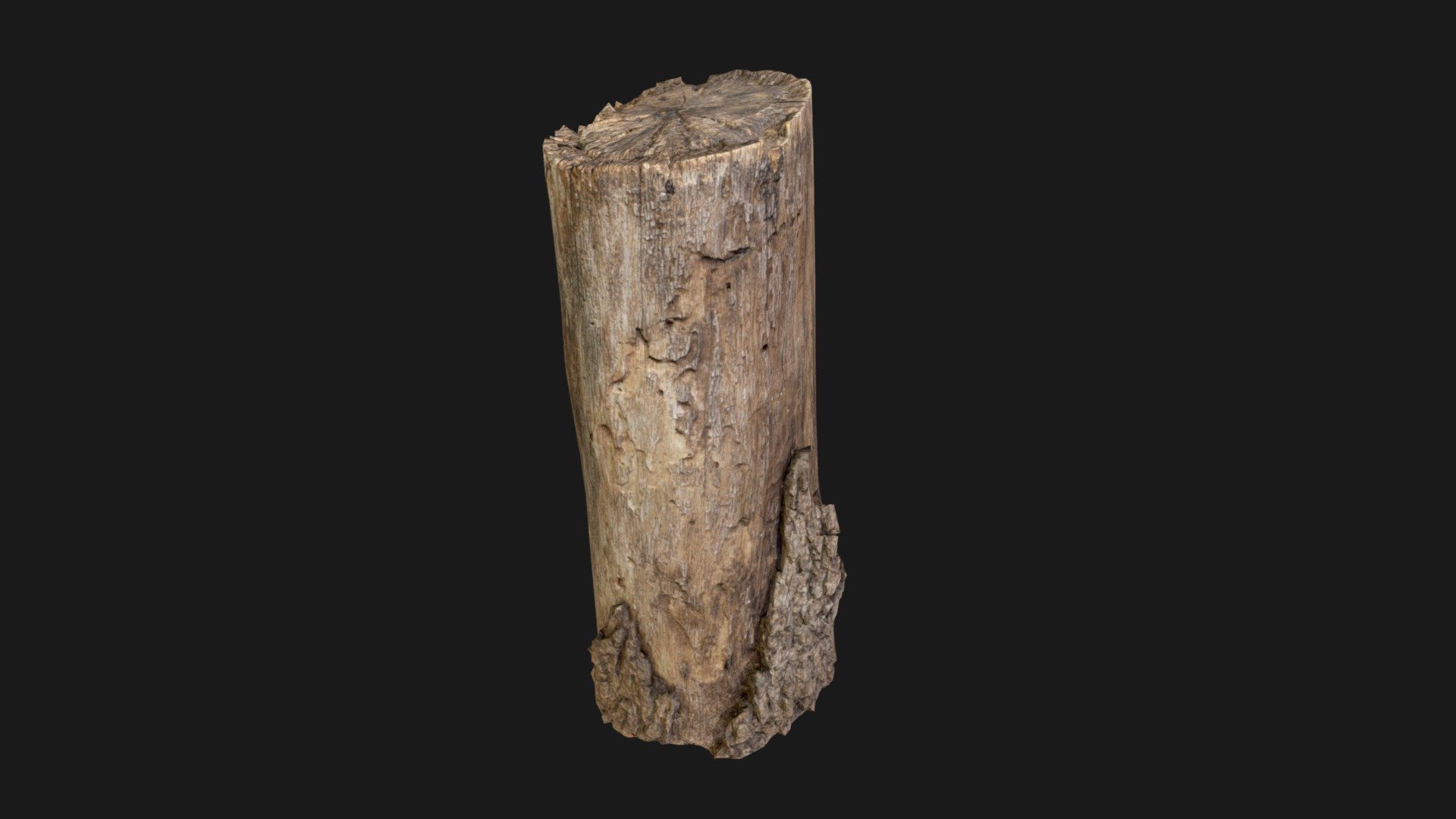 Old Tree Log 01 - HeraScans - Buy Royalty Free 3D model by HeraScans ...