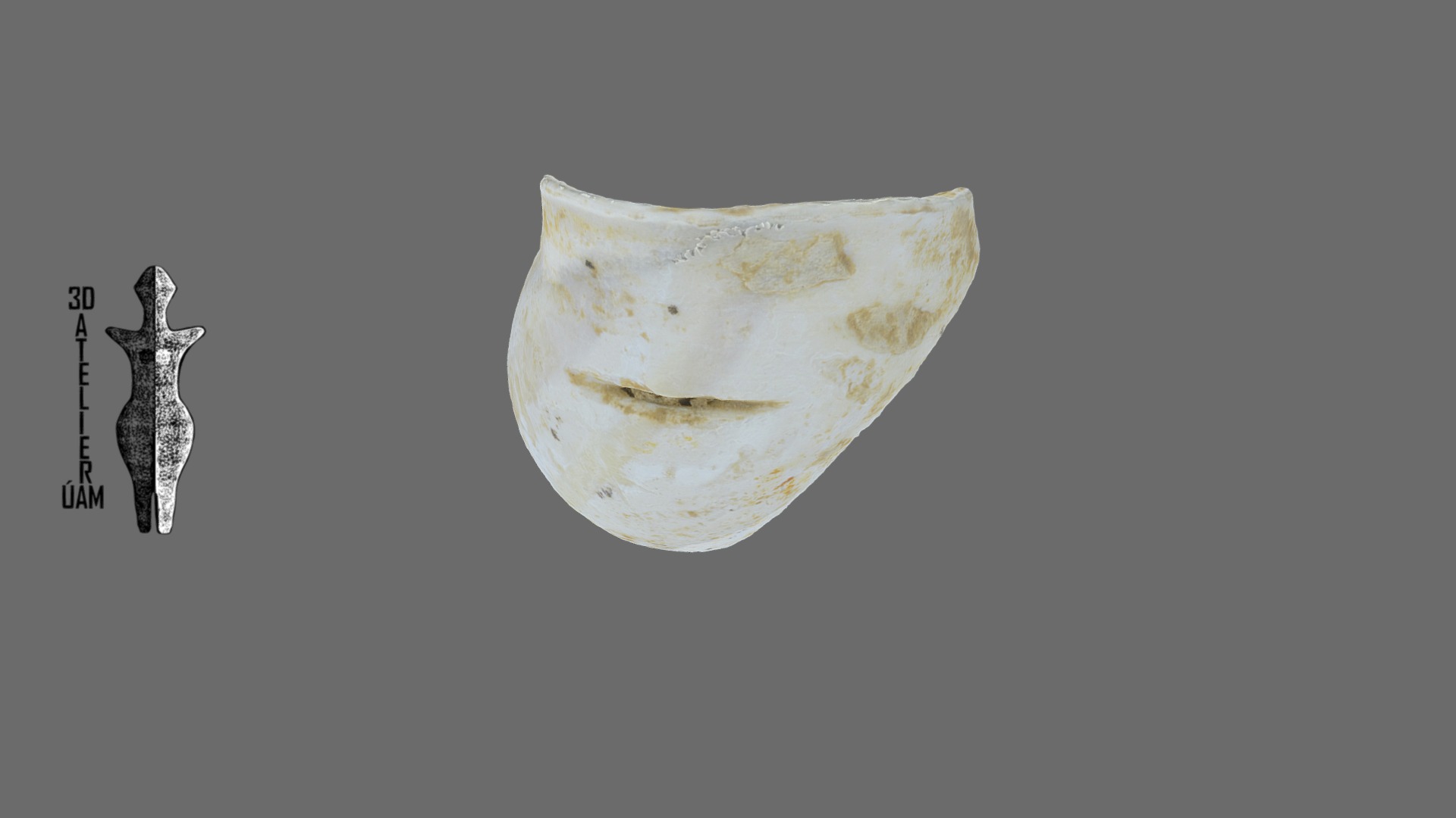Shell artefact S9 2016 - 3D model by 3D atelier ÚAM (@vojtanosek ...