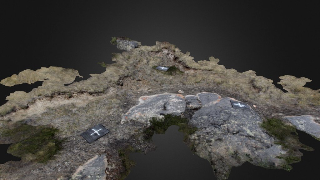 SLSCARP10 (2014) - 3D model by Jonathan Chipman (@jonathan.chipman ...