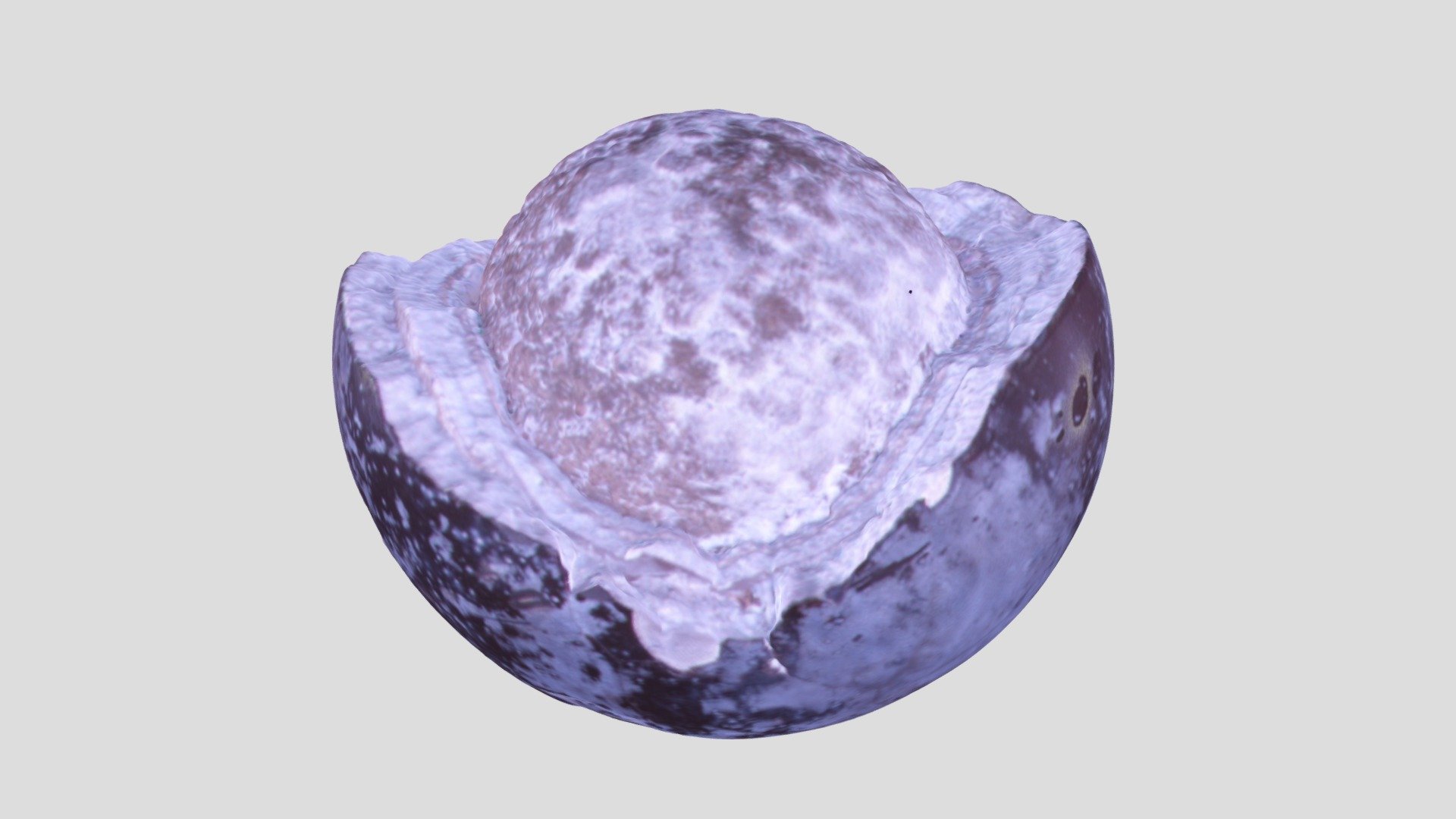 Enterolith (horse) - 3D model by University of Sarajevo - Veterinary ...