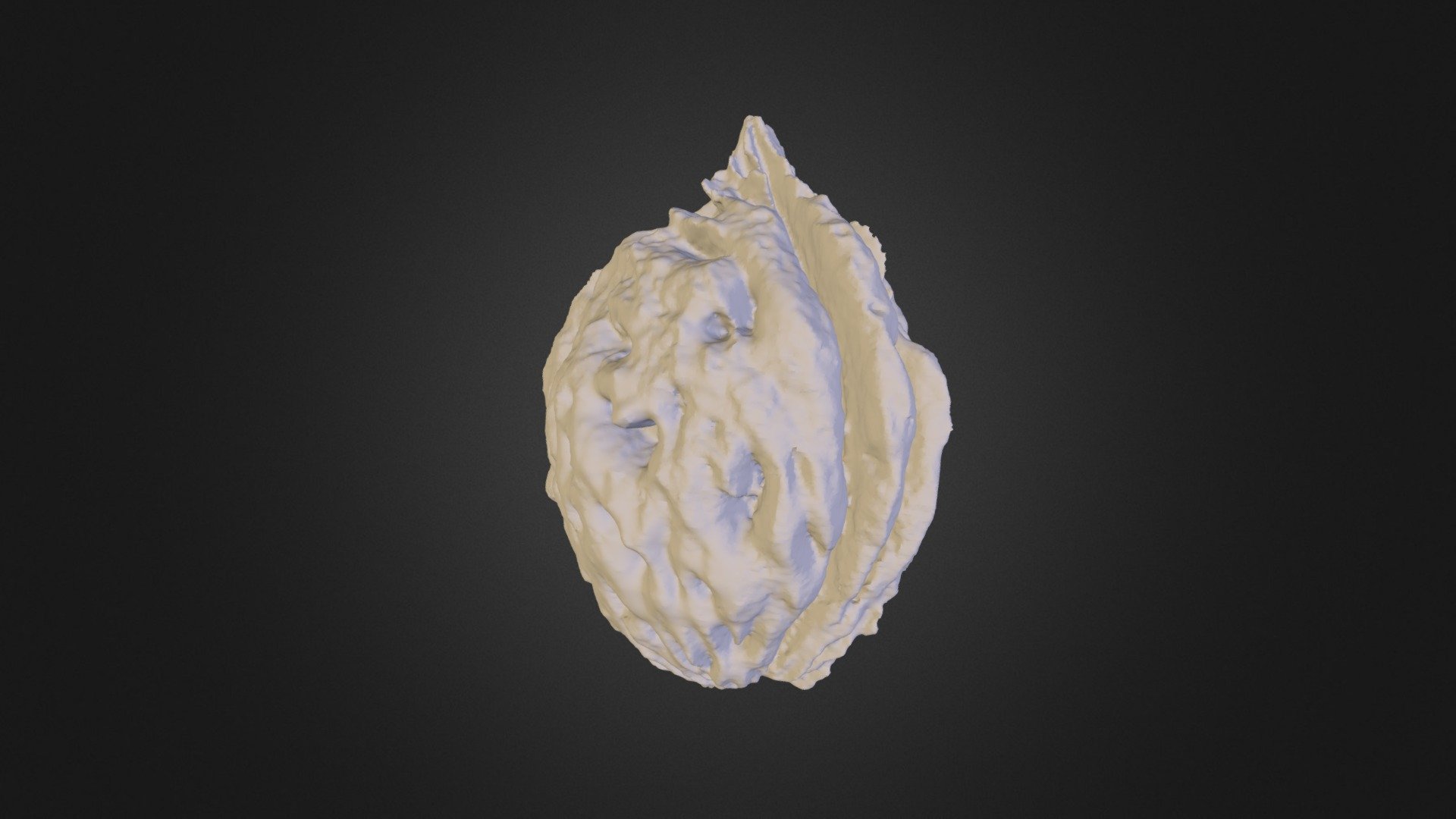 Peach Pit (untextured) - Download Free 3D model by aellis43 [273f8b4 ...
