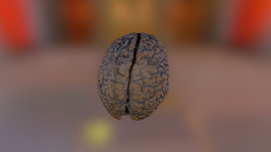 MOSG - 3D model by krokodill [27401fe] - Sketchfab