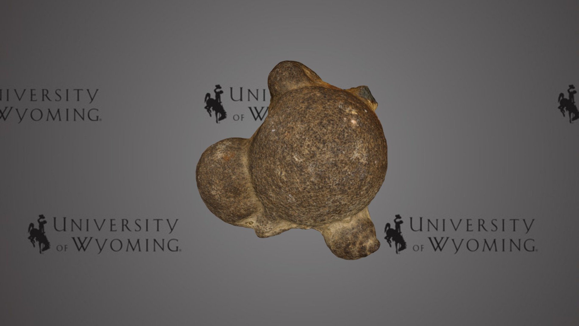 Pseudofossil - Small Concretion, Brown - Download Free 3D model by ...