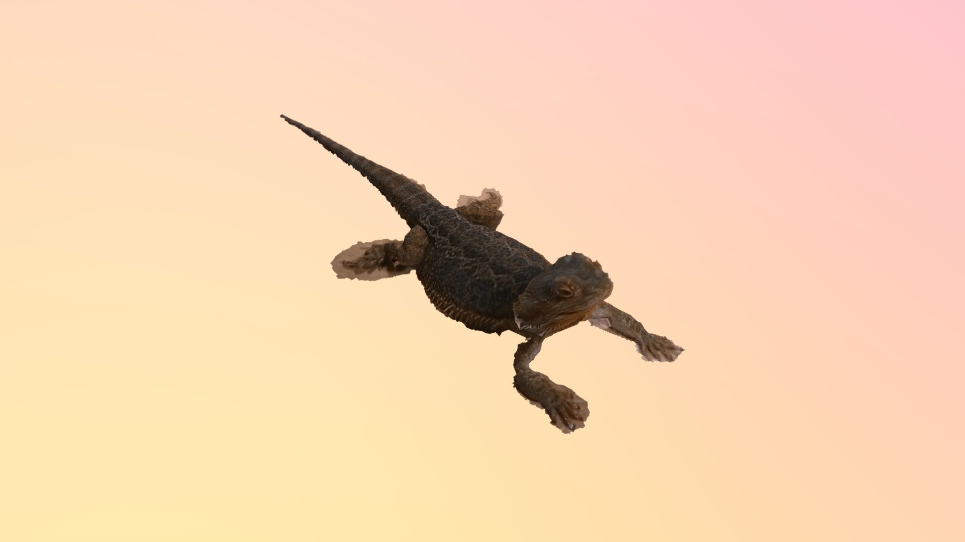 Agama - 3D model by liqid1010 [275529c] - Sketchfab