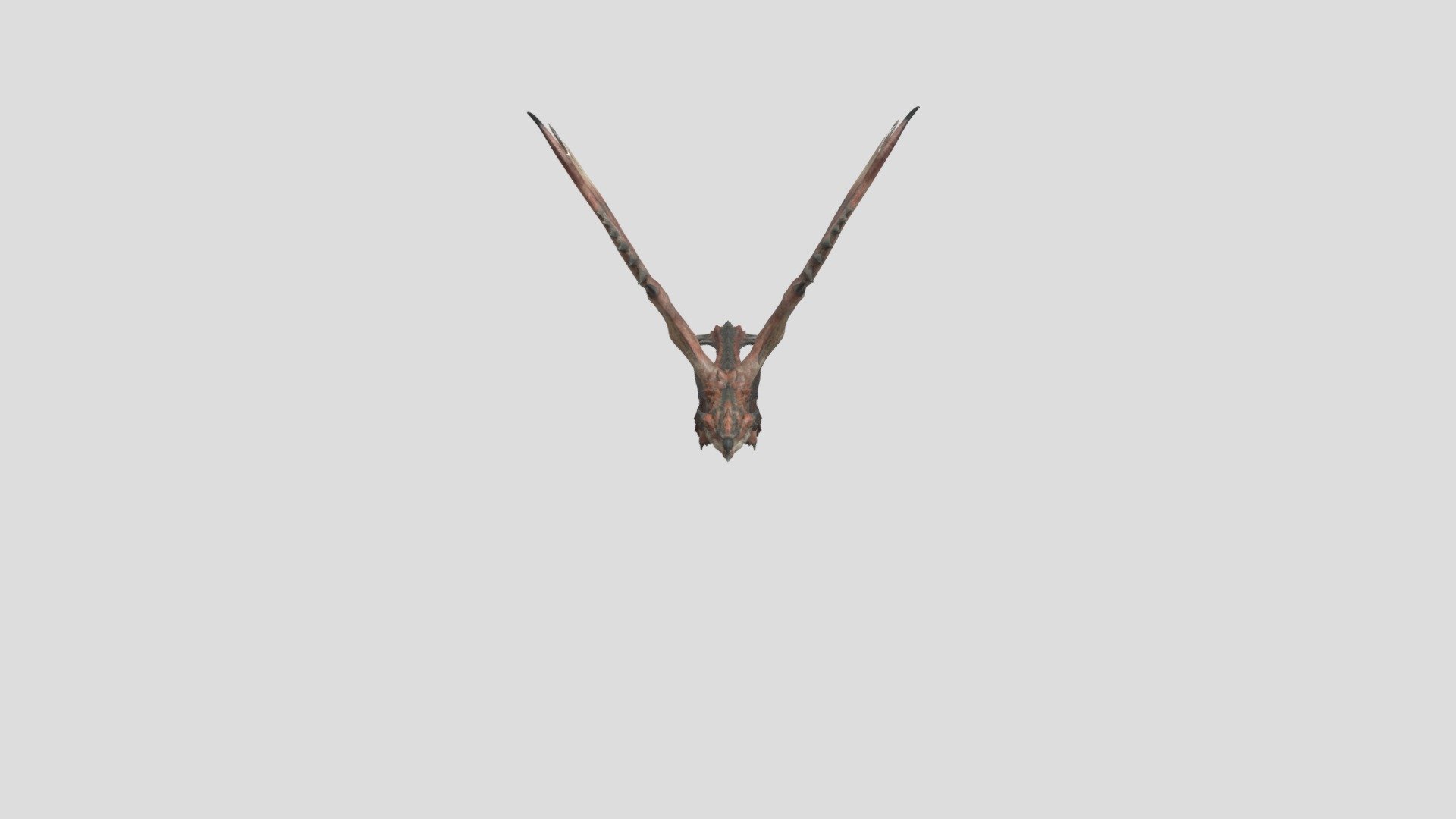 Rathalos Fly - 3D model by siiqueira [275bdfa] - Sketchfab