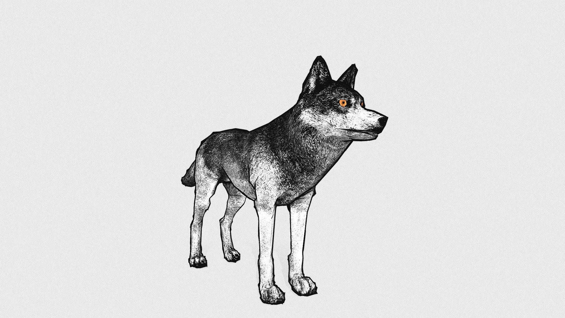 wolf - 3D model by lomongostrum [275e31a] - Sketchfab
