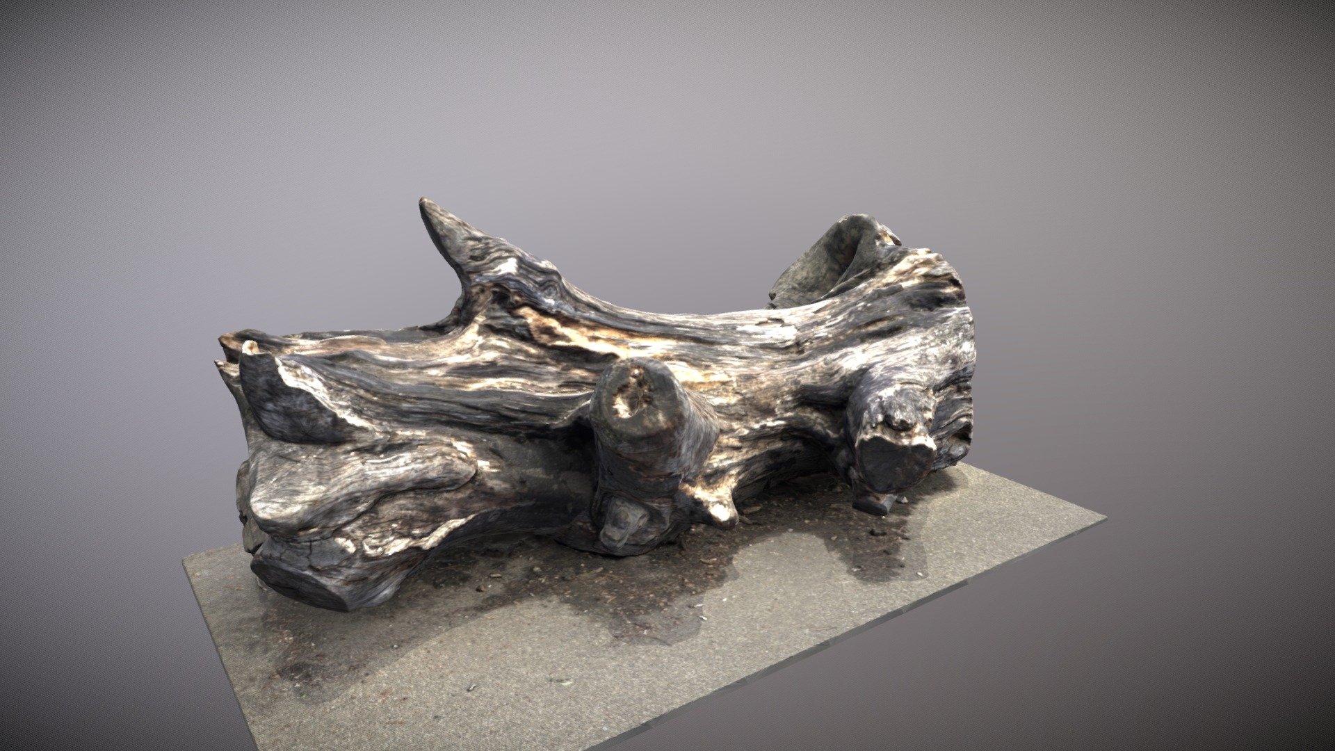 Fallen Tree Carving Jephson Garden - Buy Royalty Free 3D model by ...