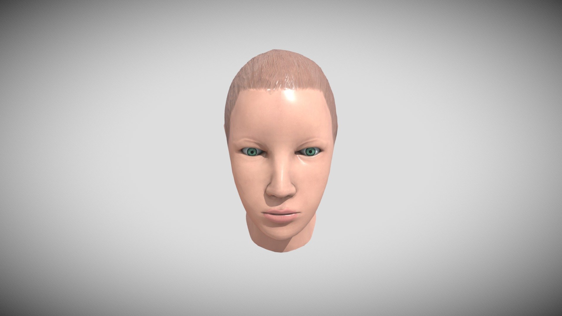 Female head bust model - 3D model by Cheekyholiday [275e9ca] - Sketchfab