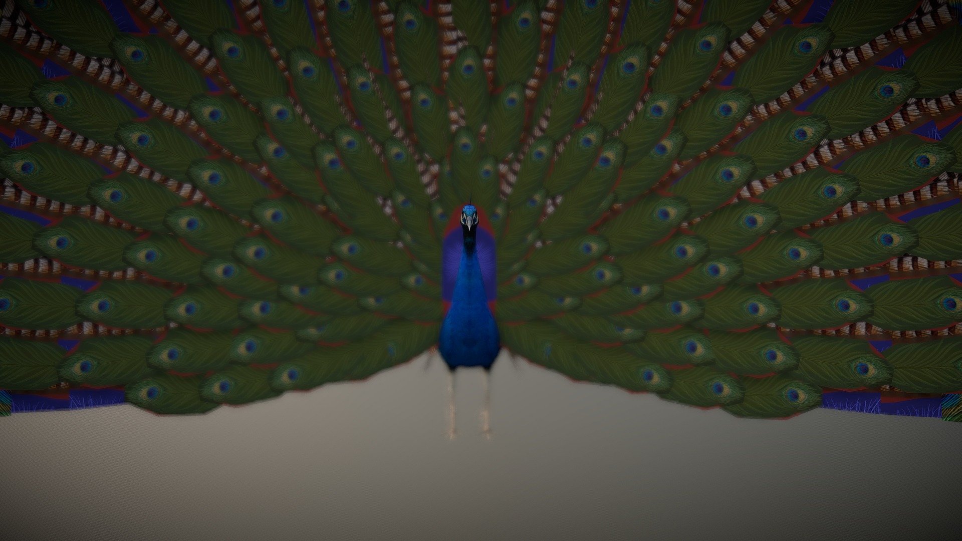 Peacock (Peafowl) Feathers Up - 3D model by Dyzzy [27633ec] - Sketchfab