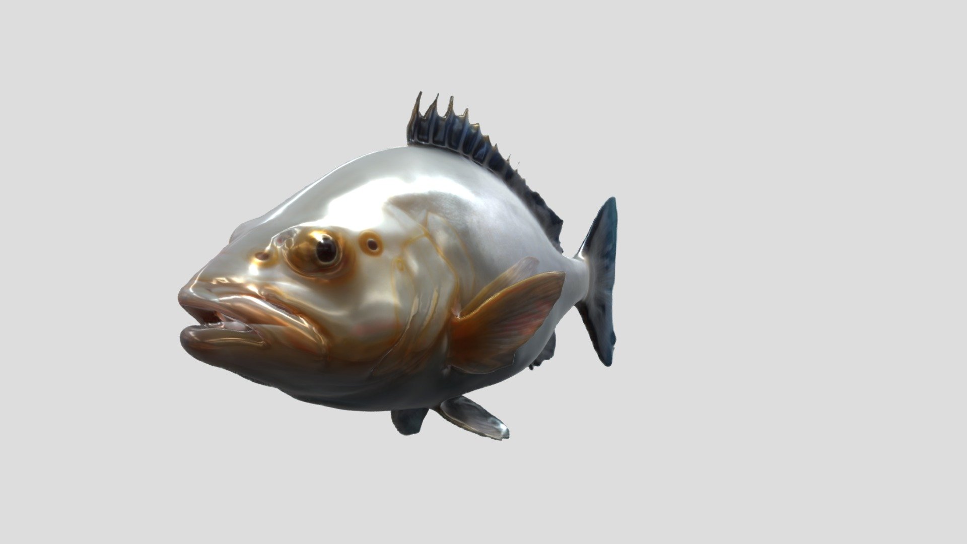Realistic fish - Download Free 3D model by Marco De Simone ...
