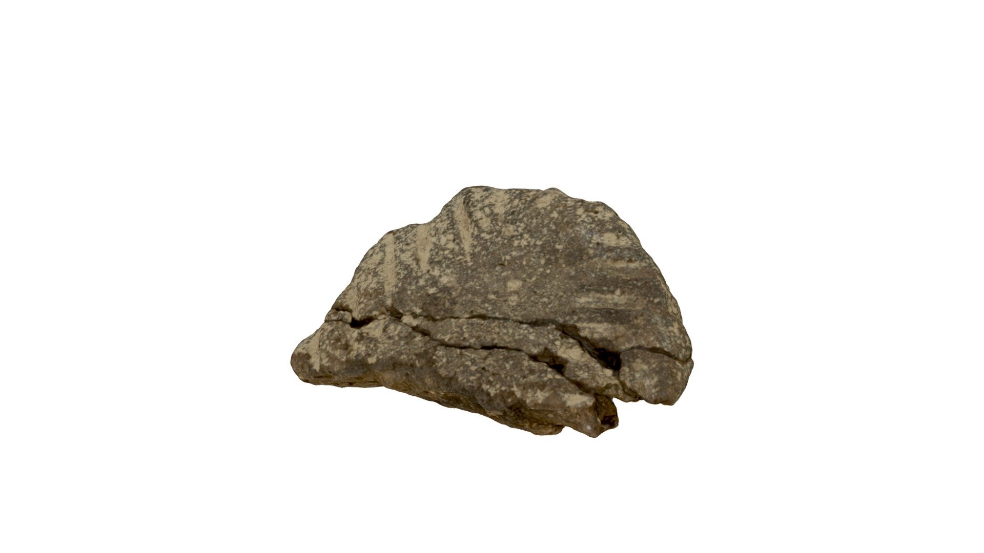 Popes Creek Ware: Cord Impressed - 3D model by LostTownsProject ...