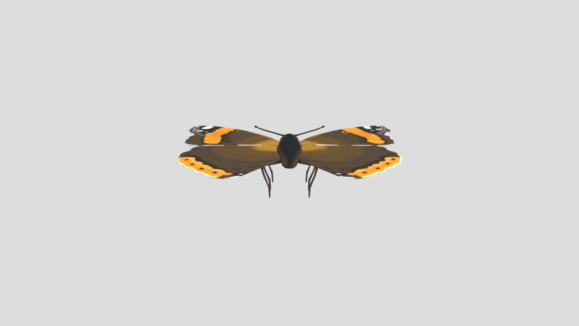 Red Admiral Butterfly - 3D model by Maksekse [276fe7e] - Sketchfab