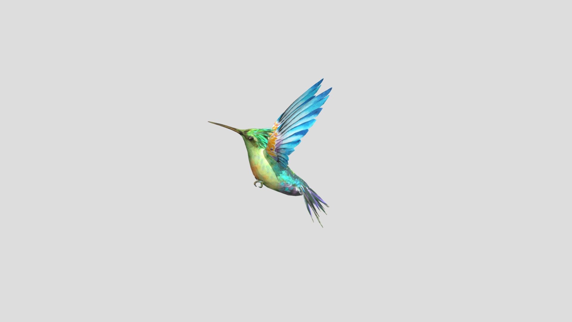 Colibri Bird - 3D model by tku.semester.lineno [2776d01] - Sketchfab