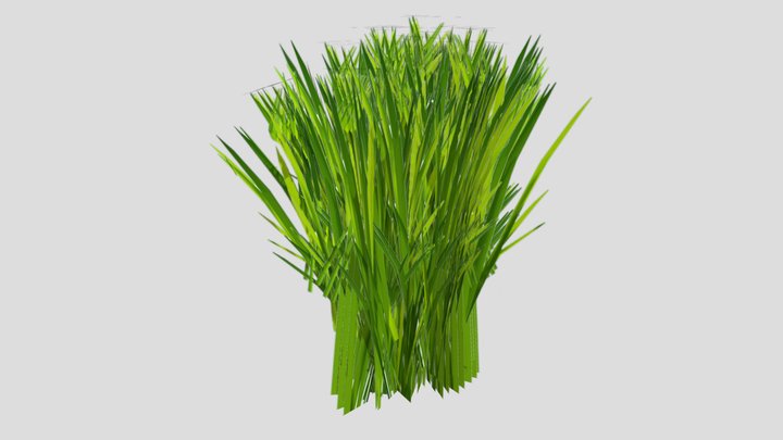 Grassland 3D models - Sketchfab