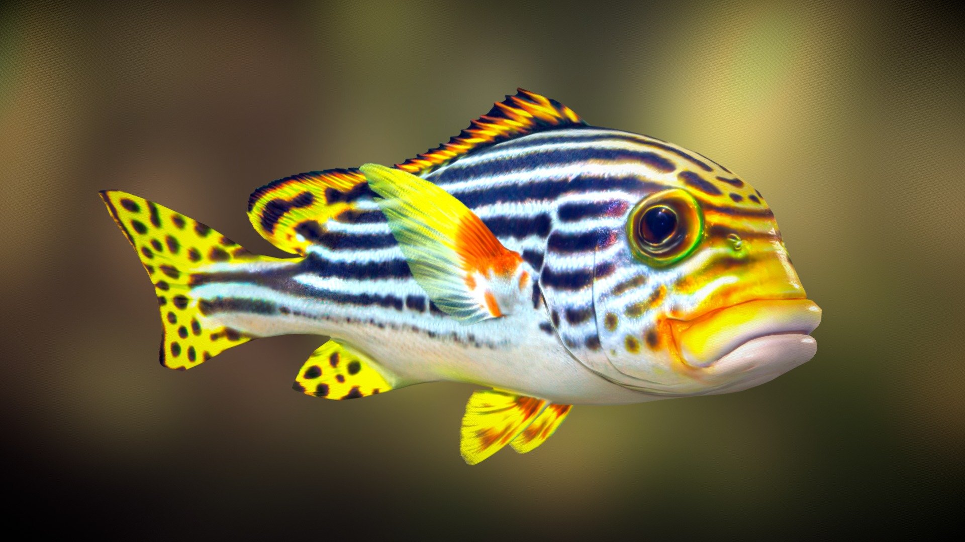 Sweetlips & Grunt Lowpoly 3d model - 3D model by Alex Bereschuk ...