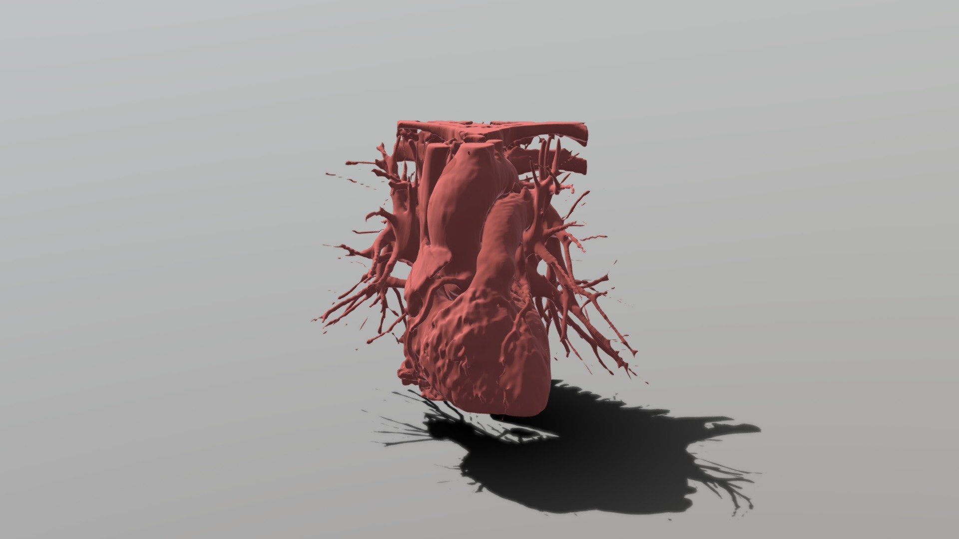 Blood Flow during Systole - Download Free 3D model by davidwakim ...