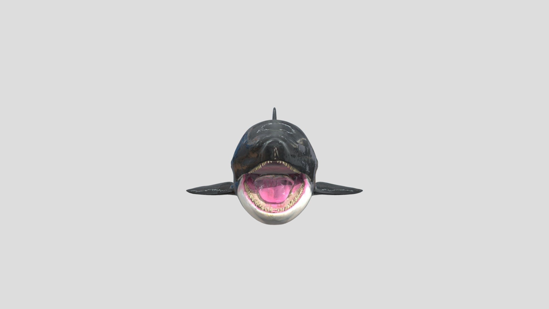 Orca's Smile - 3D model by jasminebonilla28 [278baad] - Sketchfab