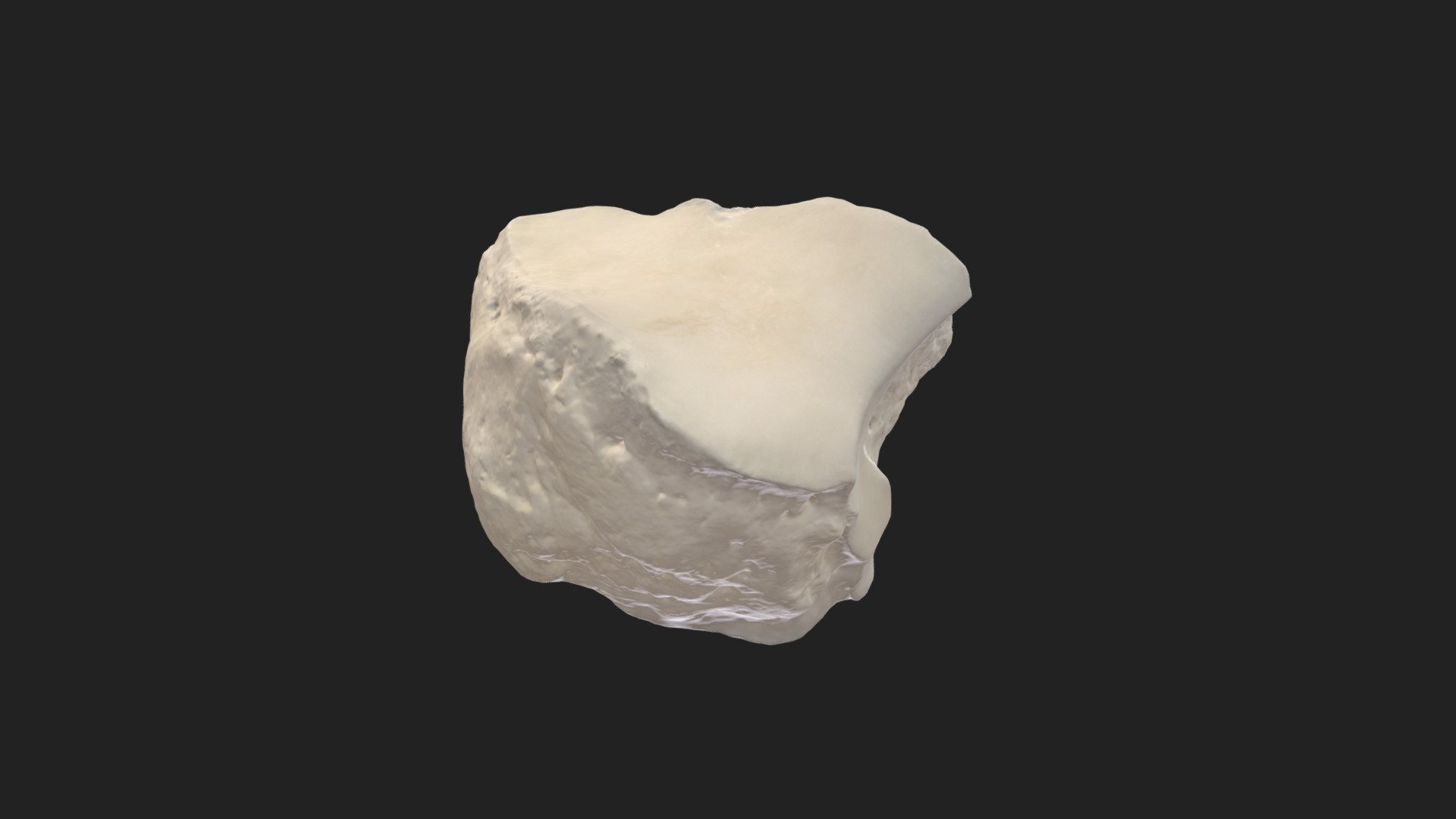 3rd tarsal bone (os tarsale tertium) pig - Download Free 3D model by ...