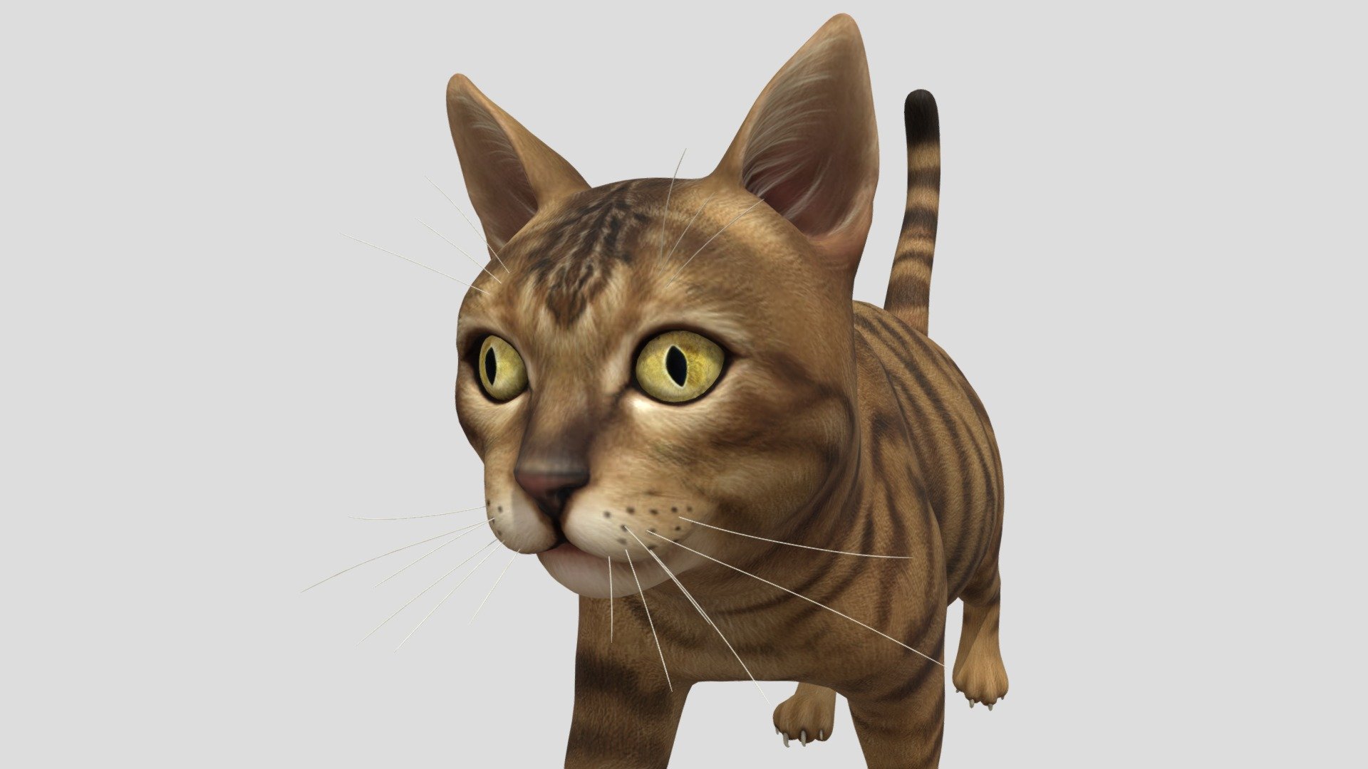 KUCING OYEN - 3D model by inticinta [27a503c] - Sketchfab