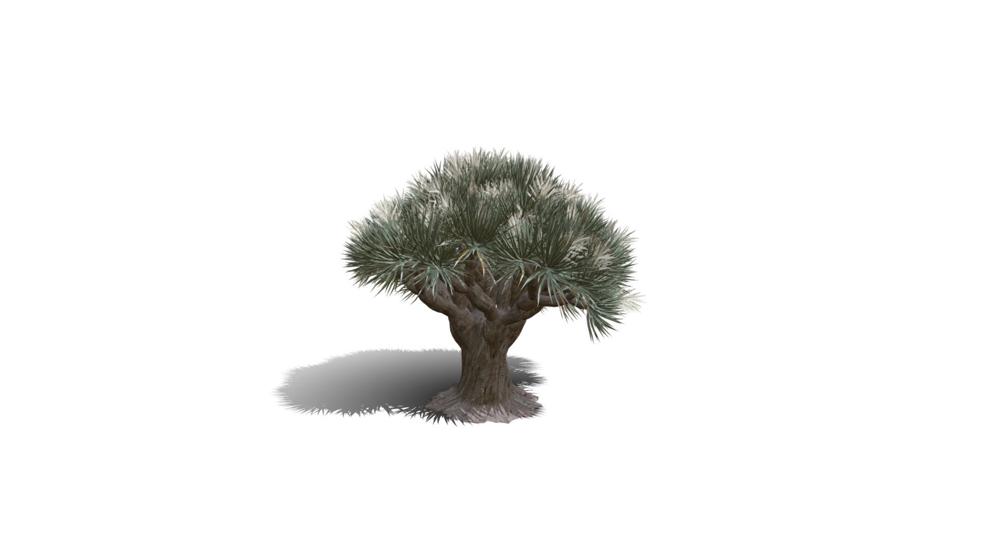 Realistic HD Dragon tree (10/50) - Download Free 3D model by ...