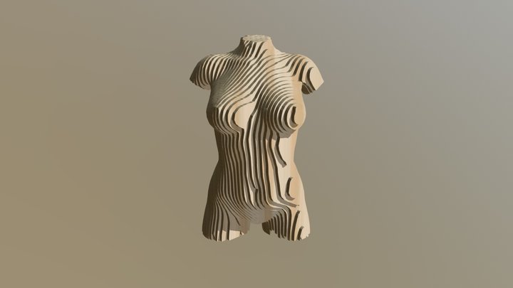 Female-torso 3D models - Sketchfab