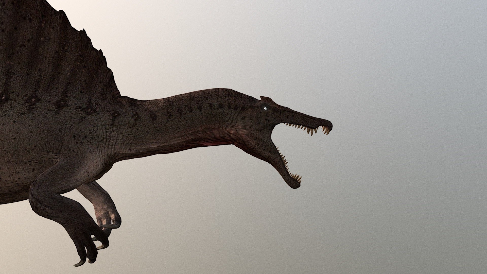 Spinosaurus - Download Free 3D model by Dinonerd466733 (@tb4858 ...
