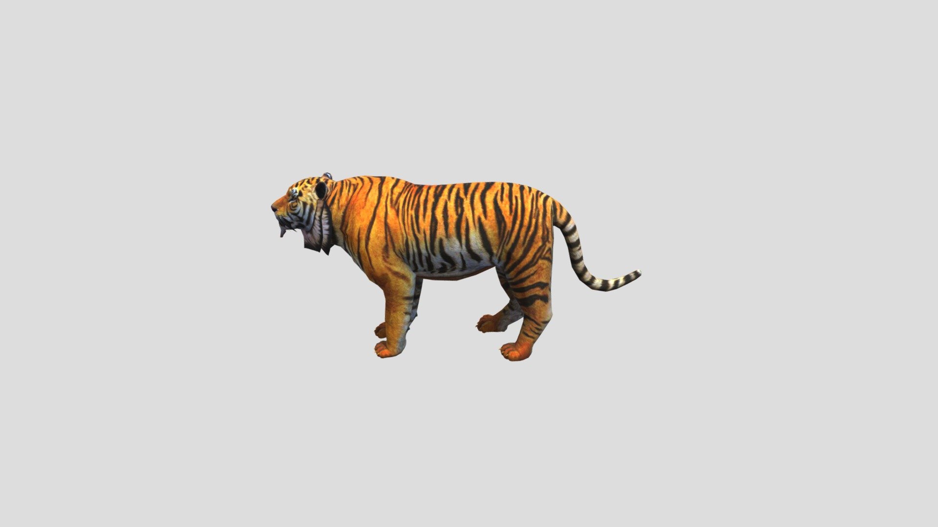 Tiger_v4_031 - Download Free 3D model by leonardgraylar [27bb532 ...