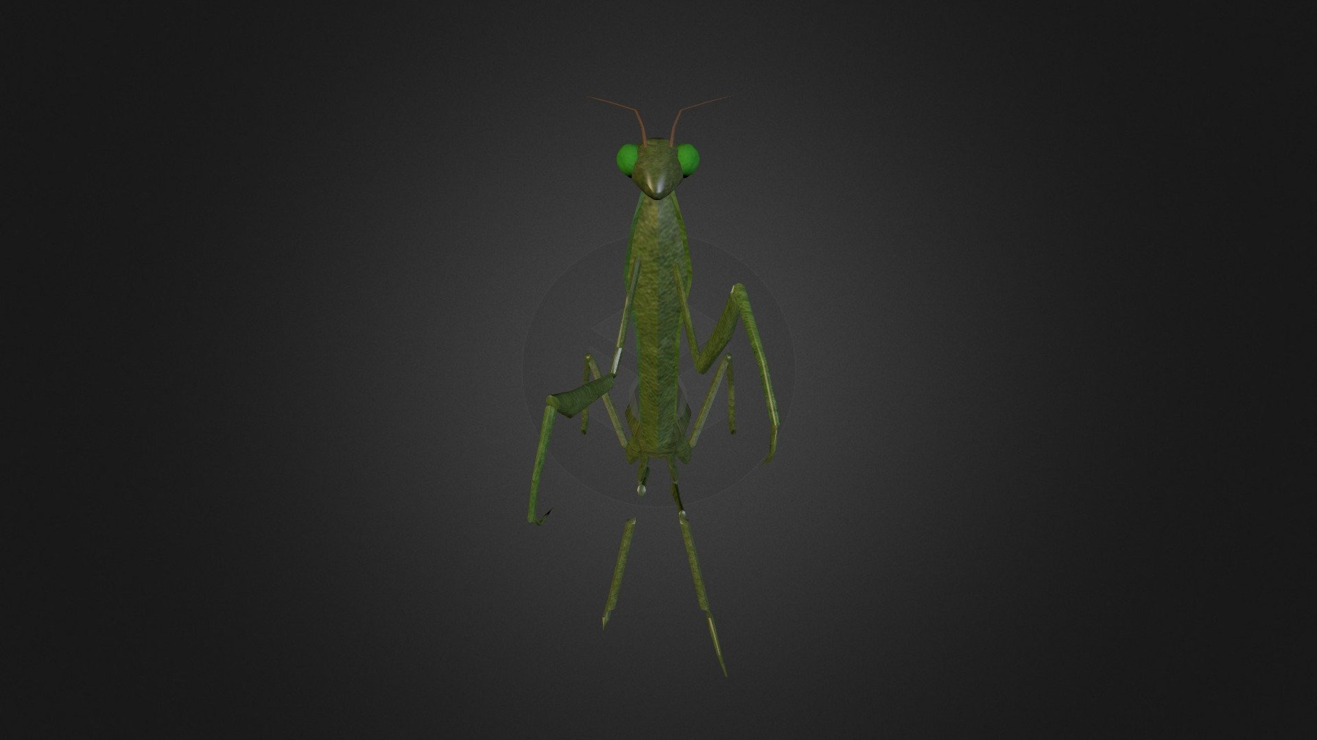 Praying Mantis - 3D model by annvega [27c1005] - Sketchfab