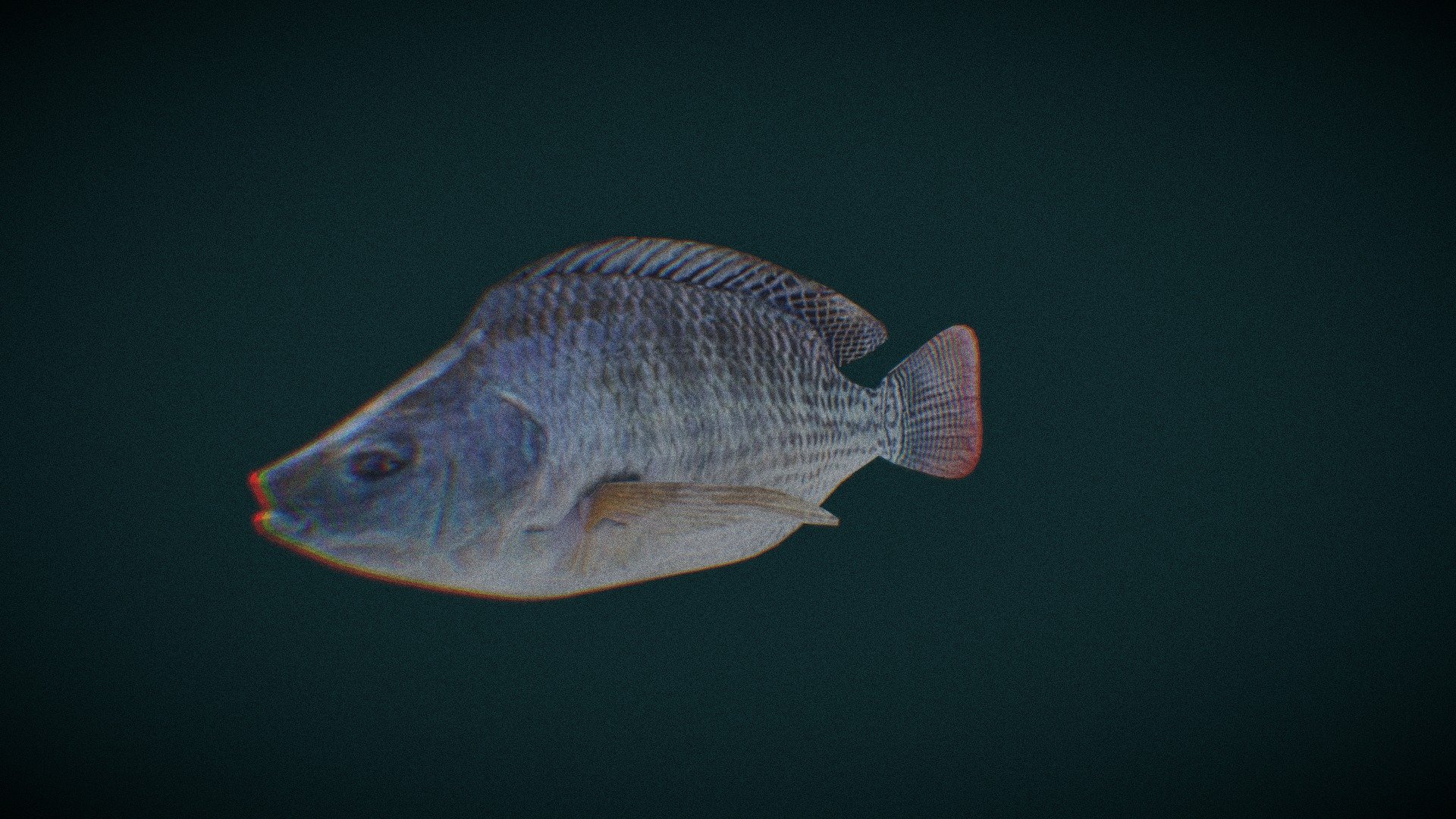fish 3d - Download Free 3D model by Paleo Modelist (@victory_) [27c6ffd ...