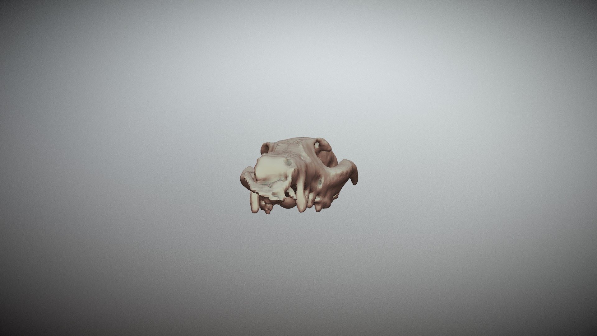 1D-Gray Fox Skull- Multi-BC1135 - 3D model by SJSUSERC [27c7eeb ...