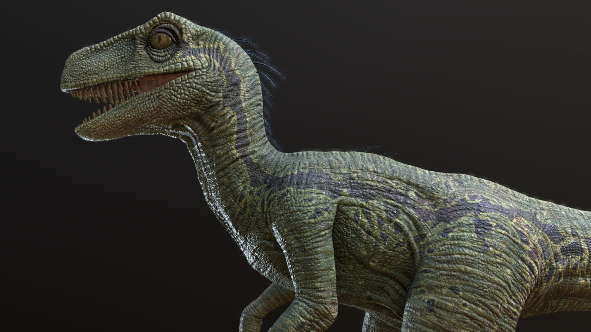 Dinosaur/Raptor - Buy Royalty Free 3D model by Licai [27cbe52 ...