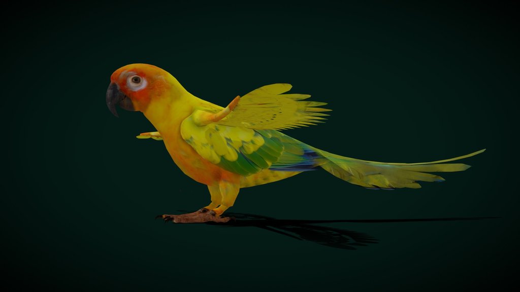 Low Poly Animals - A 3D model collection by Nyilonelycompany - Sketchfab