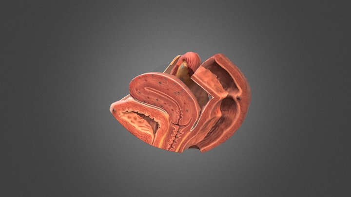 as1093 - Sketchfab