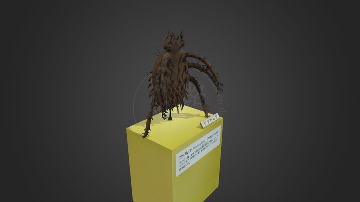 Parasitology 3D models - Sketchfab