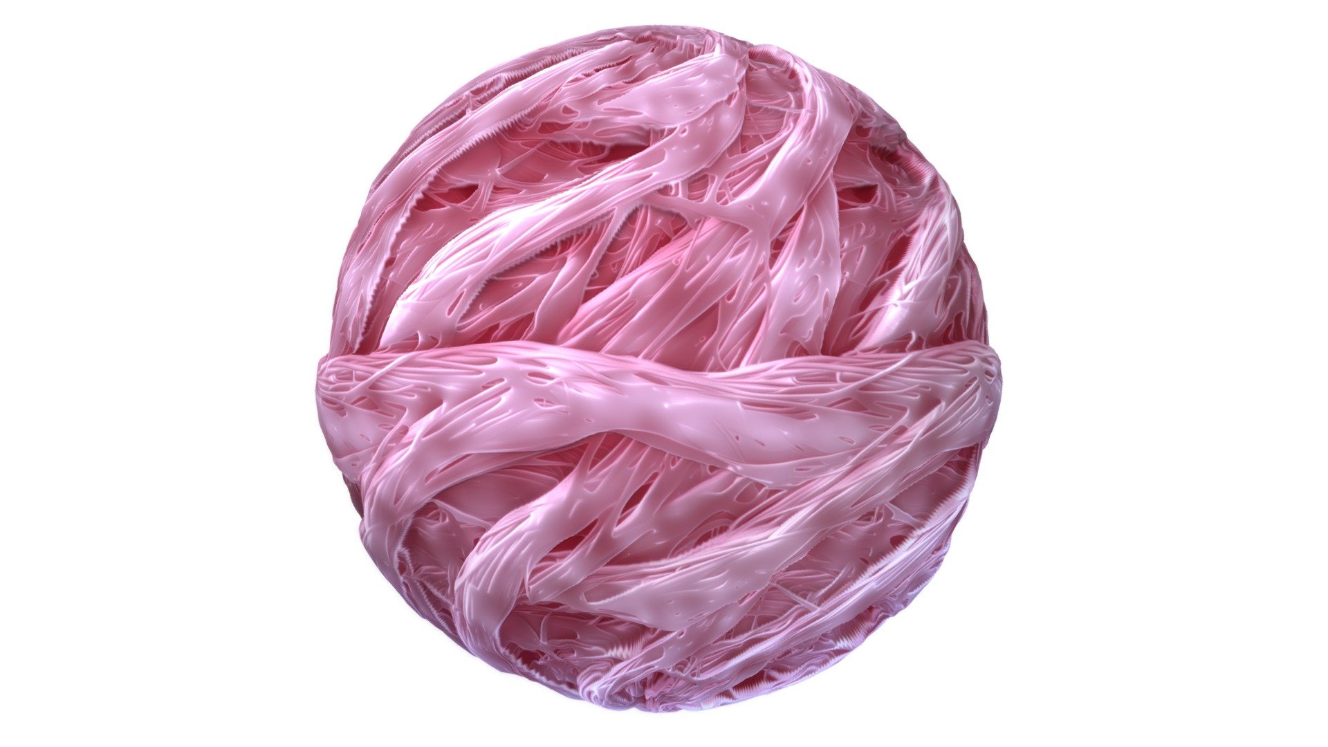 Anatomy Seamless Texture - Buy Royalty Free 3D model by zames1992 [27e5fae] - Sketchfab Store