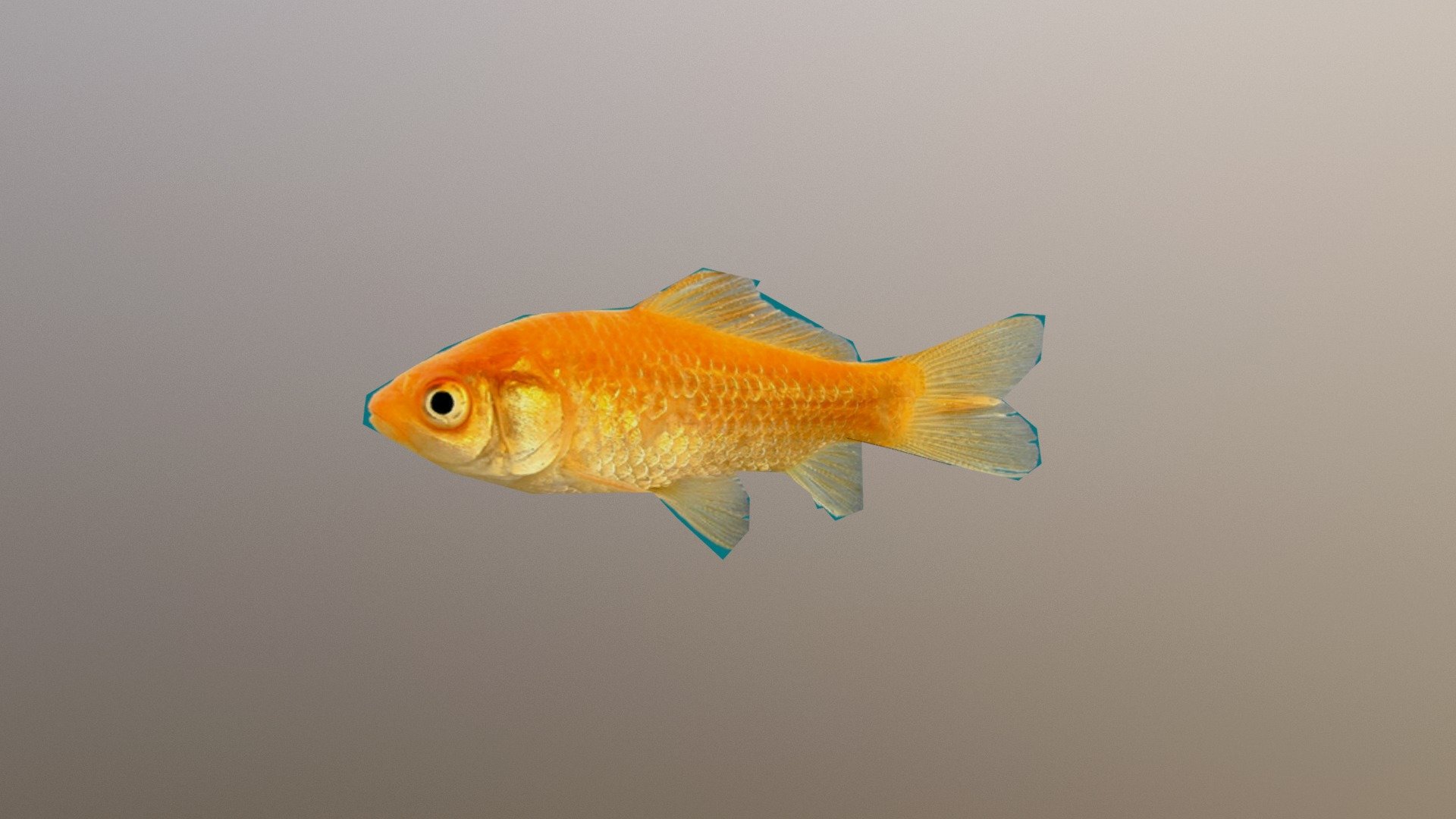 Fish - Download Free 3D model by Renato S. Rauber (@renato94) [27e73fa ...