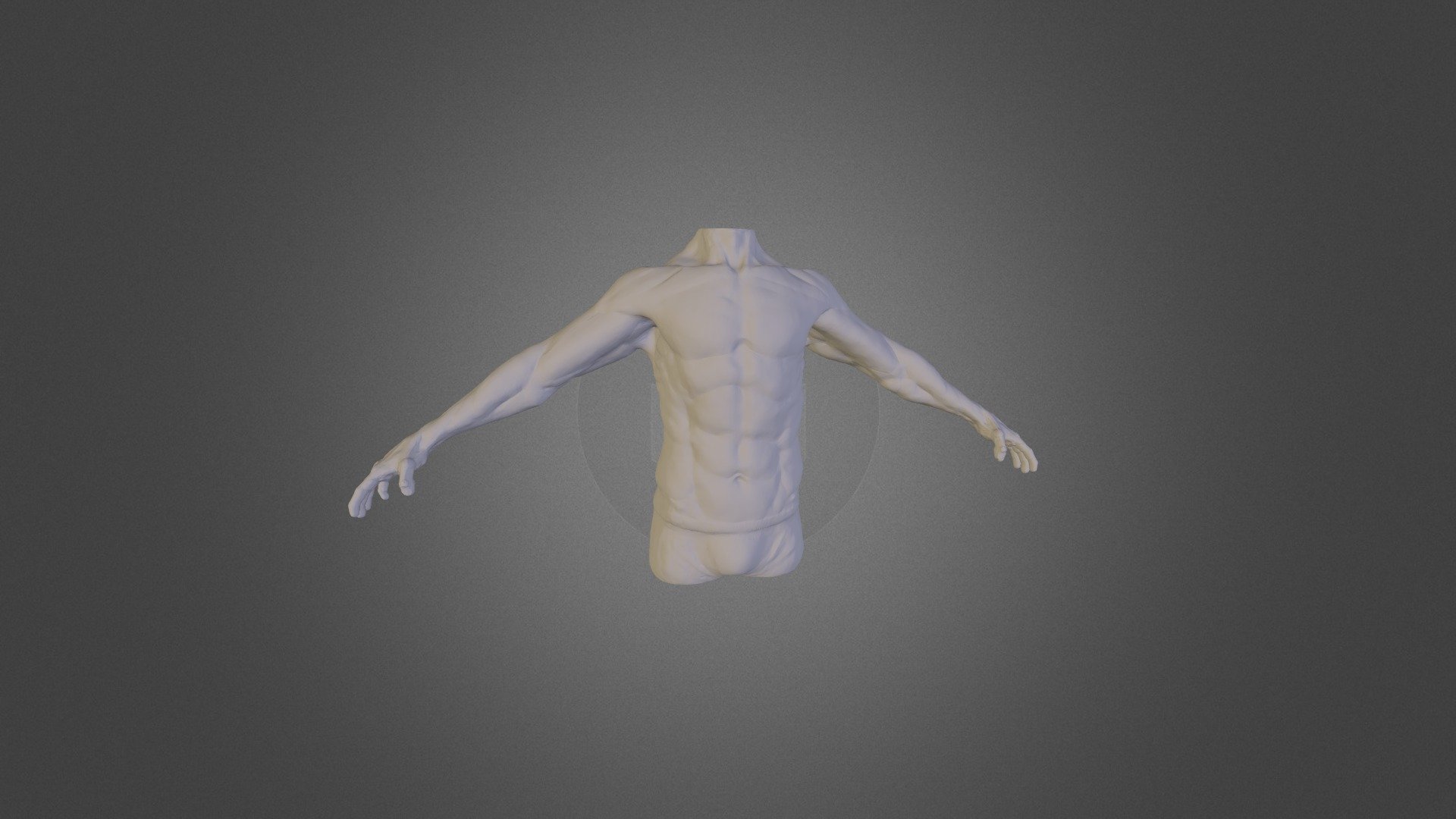 Torso Sculpt - 3D model by Sakey [27e7aac] - Sketchfab
