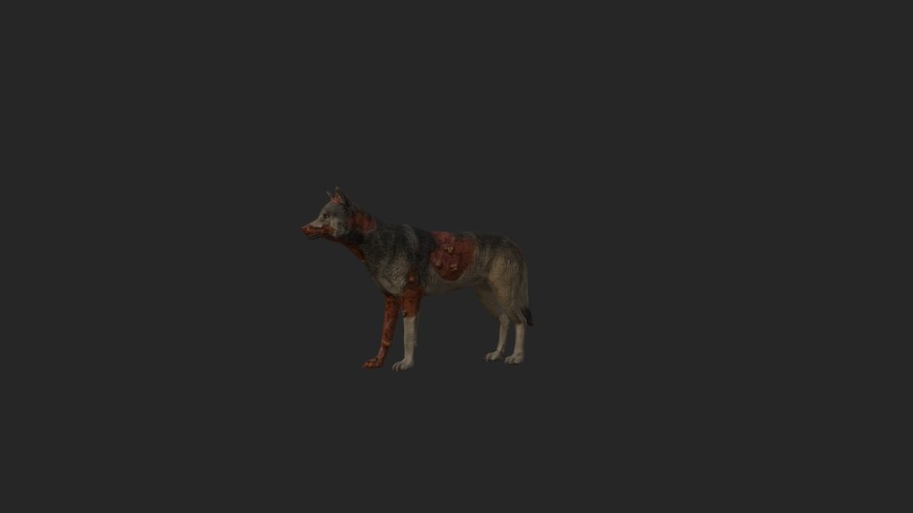 Diseased Animals - A 3D model collection by Jacob Burke (@comatos ...