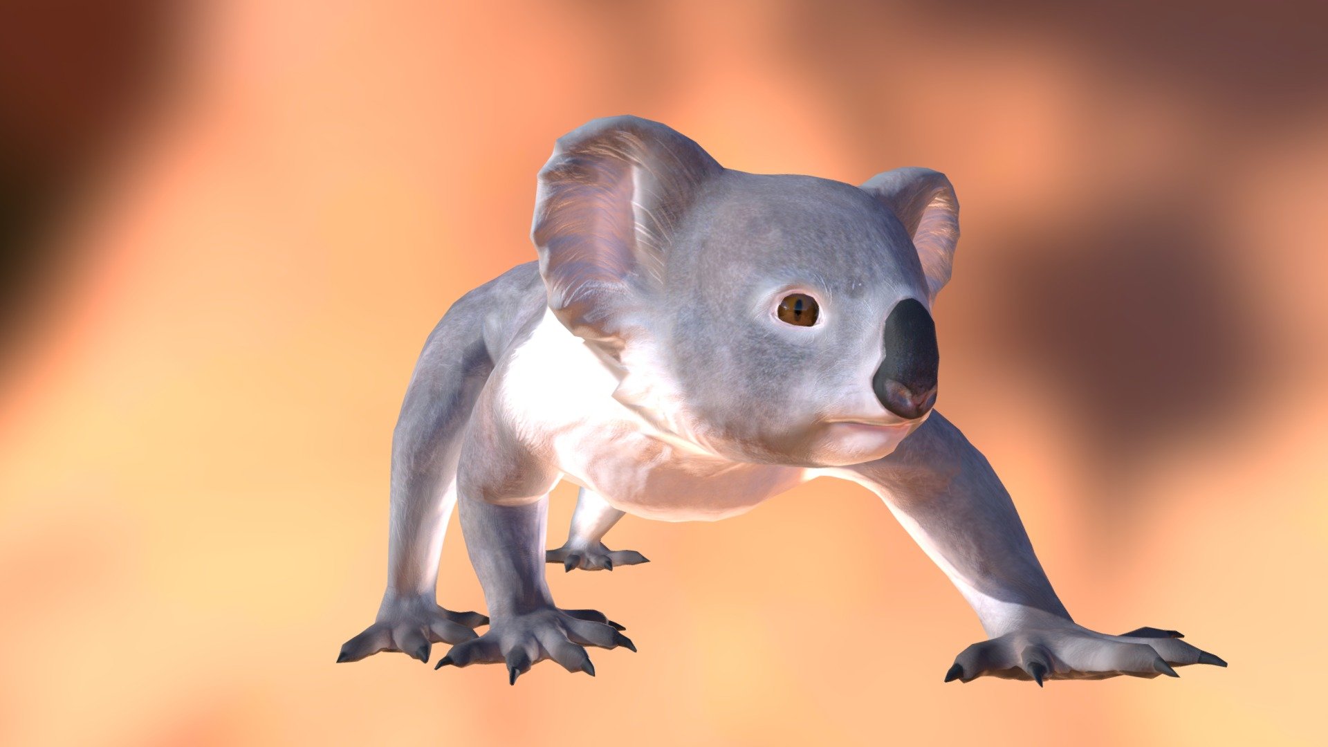 Animated Koala - 3D model by PupUpProductions [27f694c] - Sketchfab