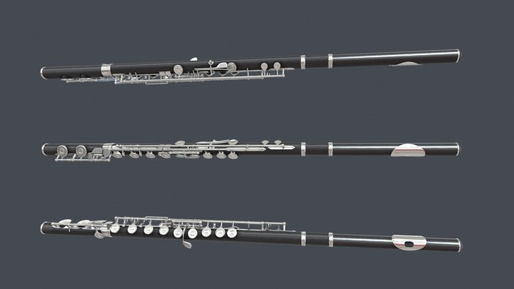 Flute 3D models - Sketchfab