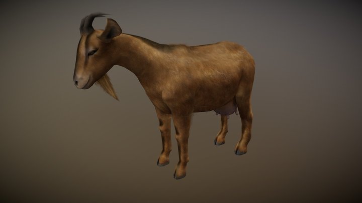 Goat 3D models - Sketchfab