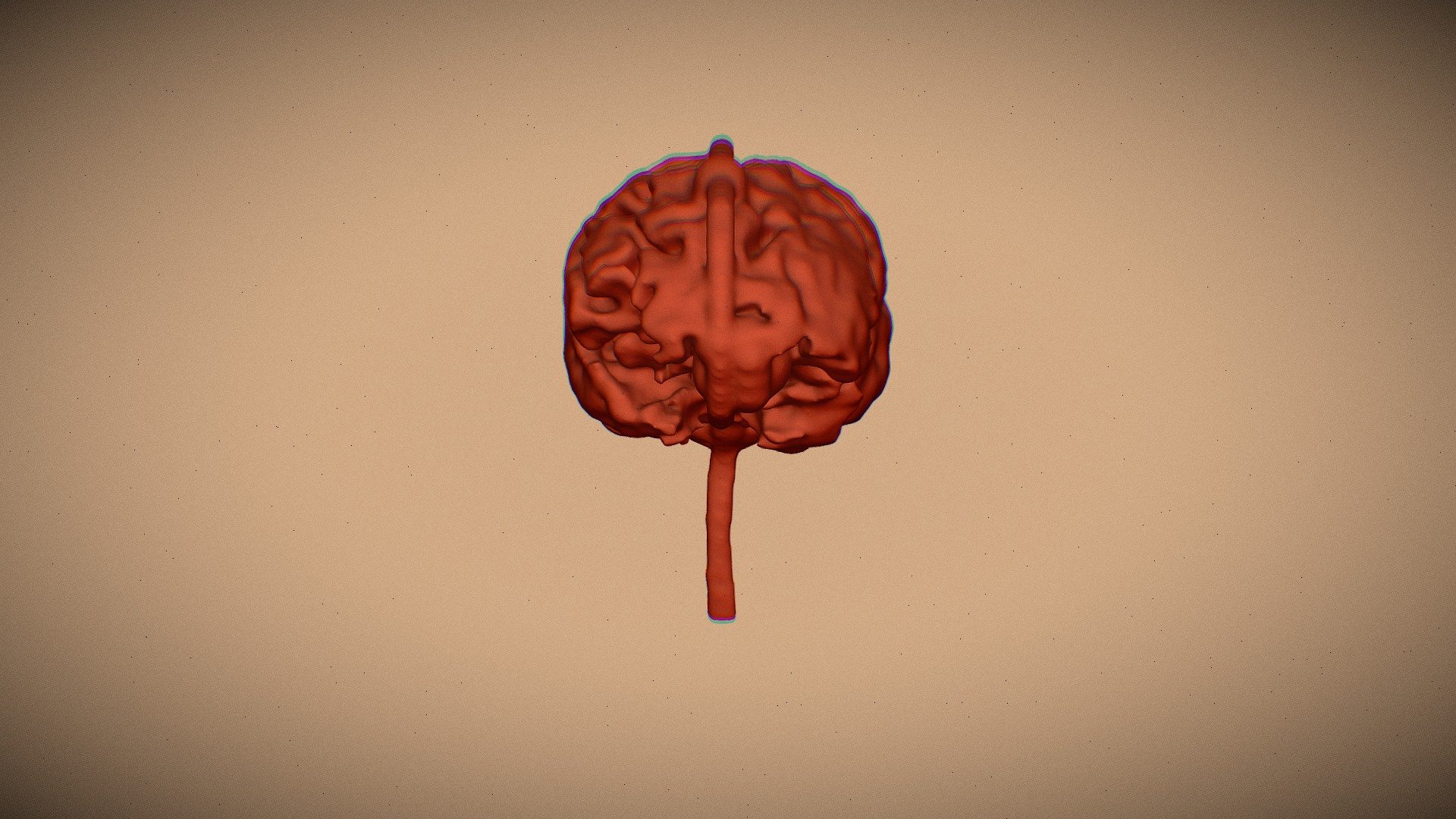 Brain Segmentation - Download Free 3D model by khiana-julieth [2804158 ...