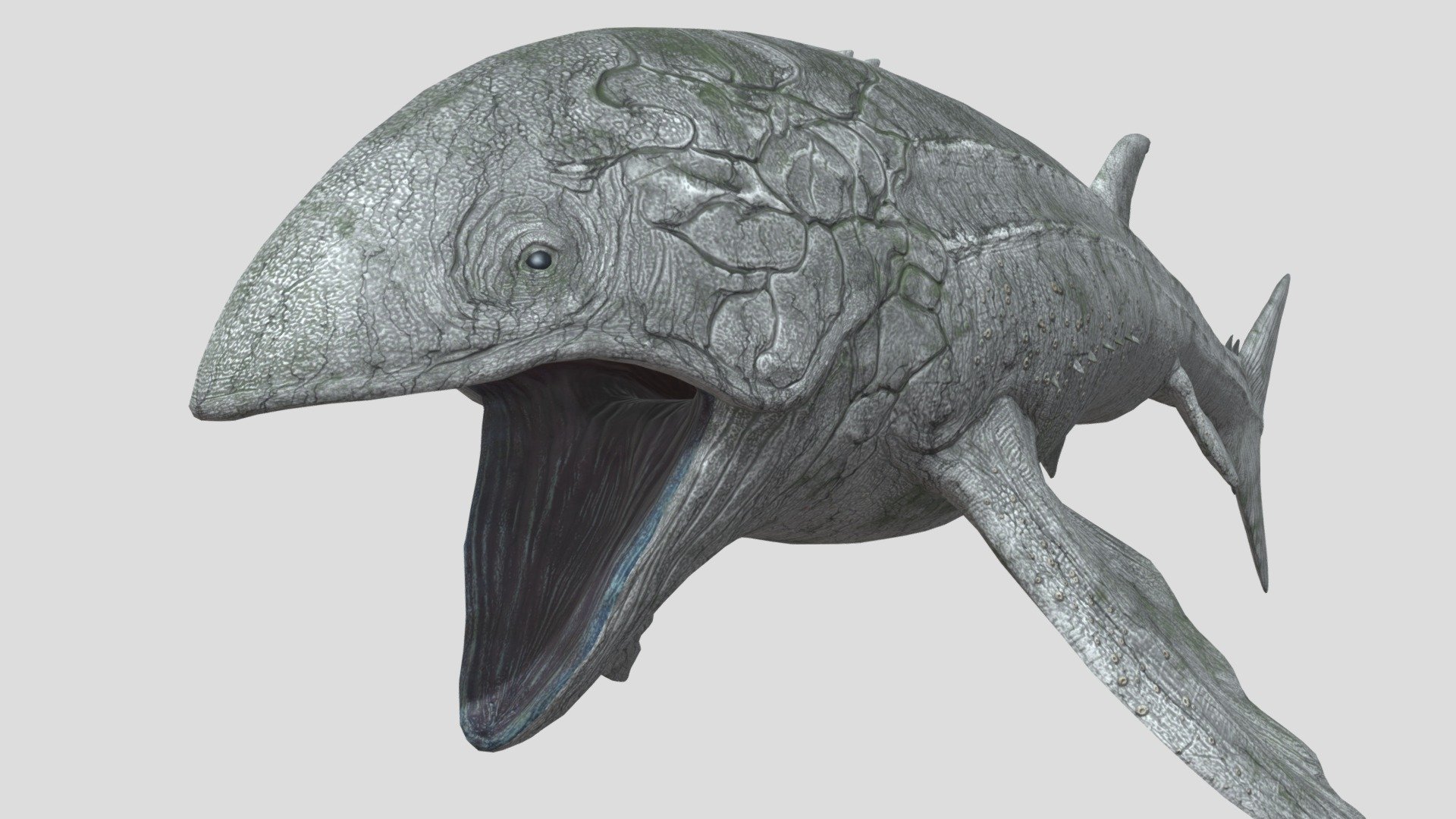 Leedsichthys - Download Free 3D model by Tim (@TimFallas) [280de67 ...