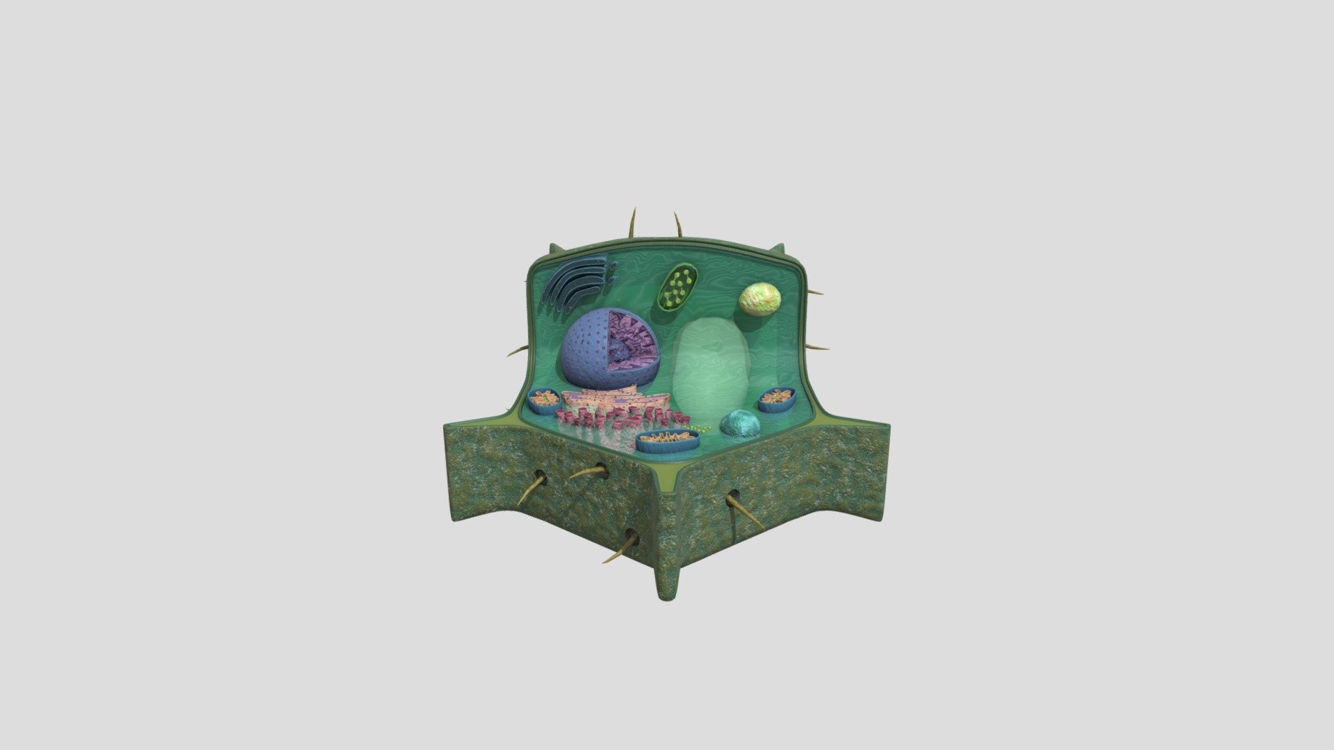 Cellule Végétale de Luca - 3D model by Lucario (@kim_luca) [2815a5f ...